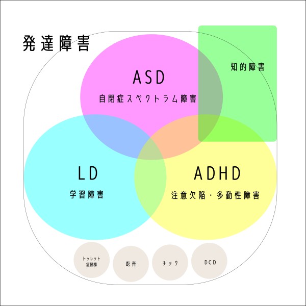 概要解説…!発達障害ってどういうの…?🤔💭|TECTECスクール天王寺校|大阪府 大阪市天王寺区の事業所 | care-base【ケアベース】｜児童・障がい・介護福祉プラットフォーム